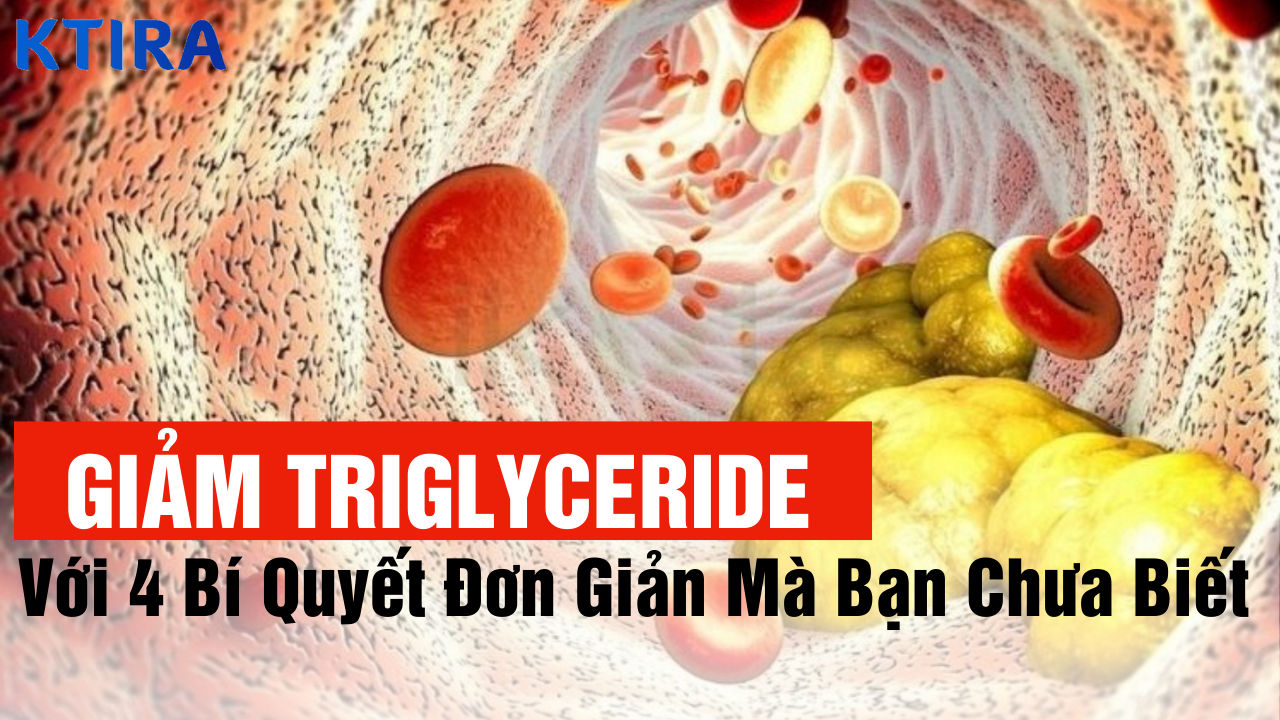 Giật Mình Với Bí Quyết Giảm Triglyceride Đơn Giản Mà 90% Người Việt Đang Bỏ Qua! - KTIRA Nhật Bản