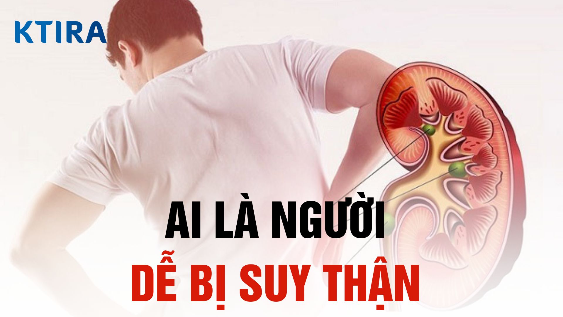 Ai Dễ Bị Suy Thận?- Bạn Có Thuộc 5 Nhóm Người Này? - KTIRA Nhật Bản