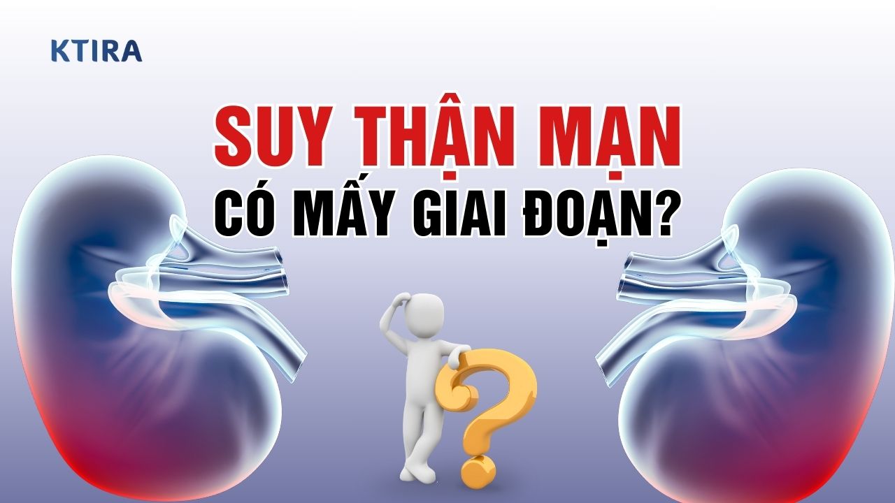 Suy Thận Mạn Có Mấy Giai Đoạn? 5 Triệu Chứng Ai Cũng Cần Biết! - KTIRA Nhật Bản